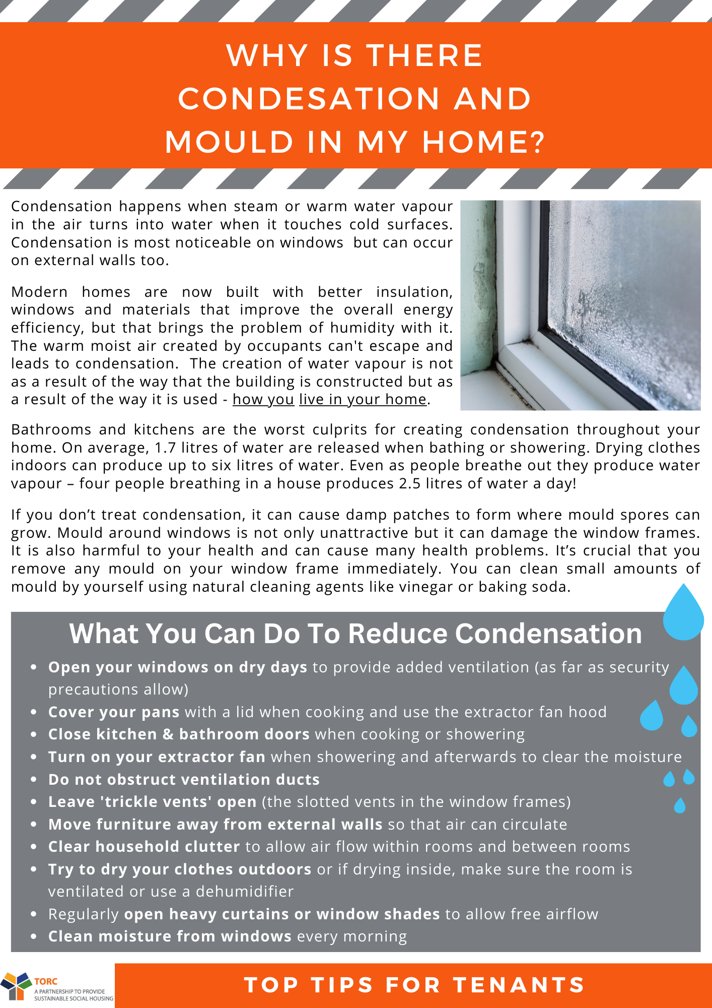TORC Top Tip for Tenants: Condensation - Torcsustainablehousing